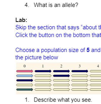 Genetic Drift Simulation By Ms Lincke S Classroom TPT