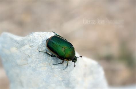 Top Design Magazine Web Design And Digital Content When Ugly Becomes