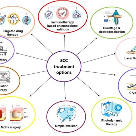 A Summary Of The Current Treatment Options For Scc Main Therapy For
