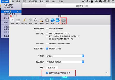 Safari调试ios Web页面如何检查web页面在safari浏览器上的显示效果 Csdn博客