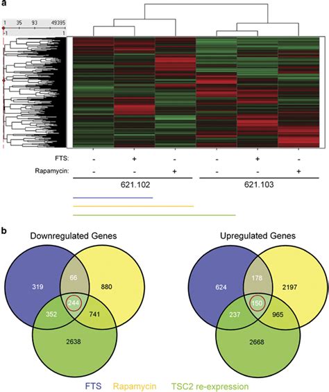 comparative gene array analysis of 621 102 and 621 103 cells treated