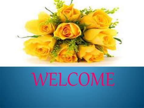 Dissertation Preparation Pptx