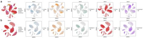 Figure From Integrating Multiple Single Cell RNA Sequencing Datasets Using Adversarial