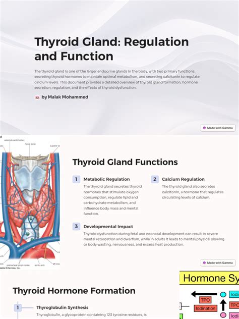 Thyroid Gland Regulation And Function Pdf Thyroid Thyroid Stimulating Hormone