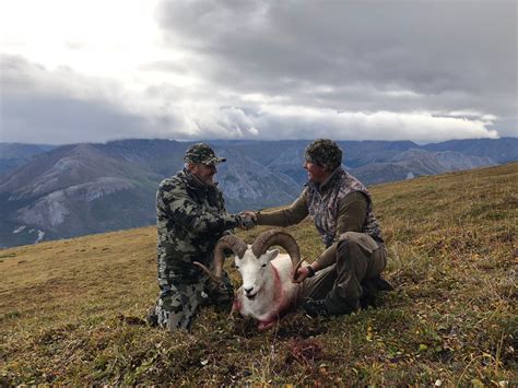 Alaska Dall Sheep Hunting
