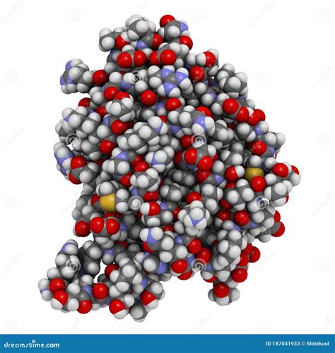 Granulocyte Macrophage Colony Stimulating Factor Gm Csf Molgramostim Sargramostim Molecule