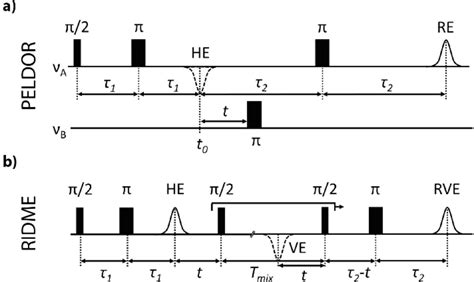 Differentiating between Label and Protein Conformers in Pulsed Dipolar EPR Spectroscopy with the ...