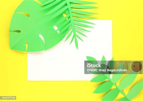 노란색 배경에 흰색 종이 선글라스가있는 다양한 열대 잎 상단 보기 0명에 대한 스톡 사진 및 기타 이미지 0명 개념 개념과 주제 Istock