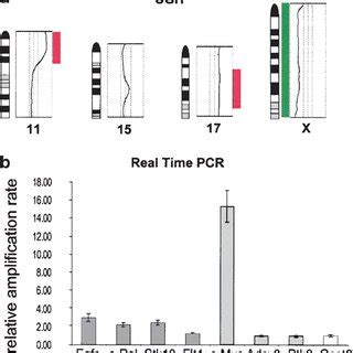 CGH Analysis And Real Time PCR Of Cell Line TD A CGH Only Download Scientific Diagram