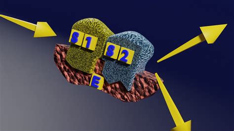 Artstation 3d Enzyme Substrate Reaction Product Resources