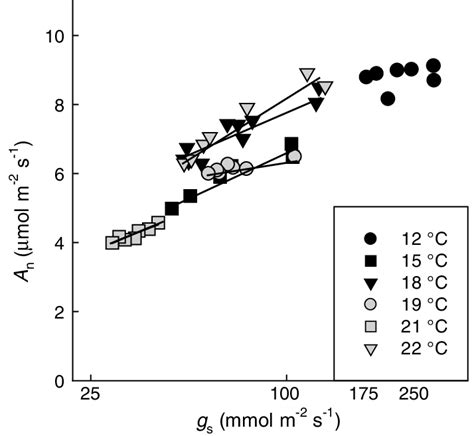 Relationship Between Stomatal Conductance G S And A N Of T Discolor