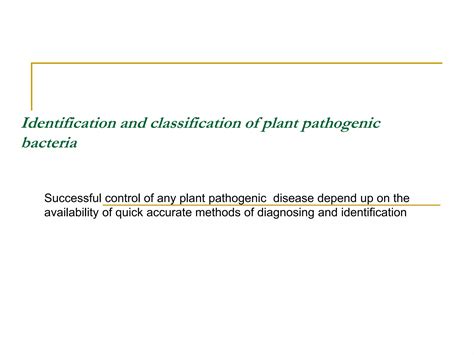 Chapter 3 Plant Pathogenic Bacteria Identification And Classification Chapter 3 Plant Pathogenic Bacteria Identification And Classification