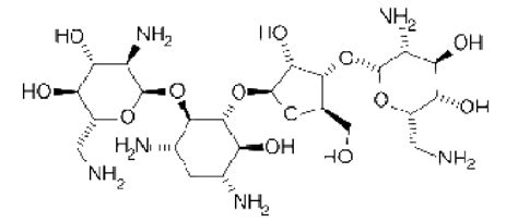 Molecular Formula Of Neomycin Nom Download Scientific Diagram