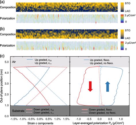 Phase Field Simulation Of Stolao Solid Solutions With Compositional