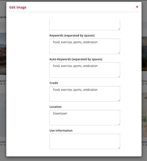 Search Functionality Simpleview Knowledgebase