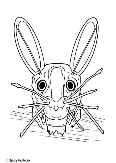 Grasshopper Mouse Coloring Pages Free Printable