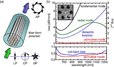 Operational Principle And Fiber Geometry Of The Azimuthal Mode Download Scientific Diagram