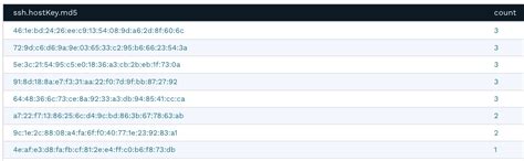 How To Scan Your External Attack Surface With Runzero
