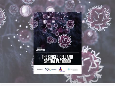 The Single Cell And Spatial Playbook