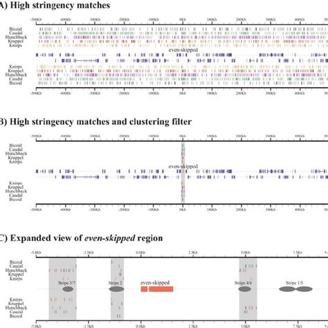 Distribution Of Predicted Transcription Factor Binding Sites And