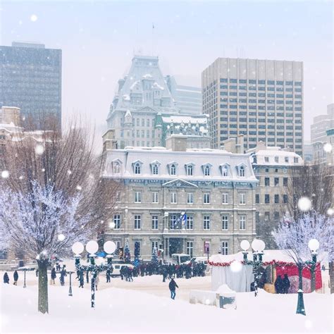 Candace Gillhoolley On Linkedin It Snowed About 7 Inches Today And We