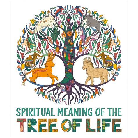 15 Spiritual Meaning Of The Tree Of Life Ancient Symbolism