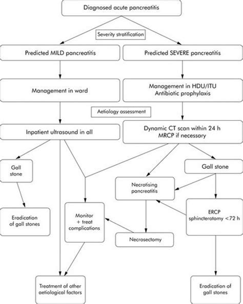 A Review Of Acute Pancreatitis Medchrome