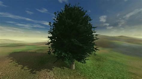 Wind Shader First Test YouTube