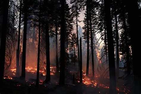 mapping wildfire movement geography realm