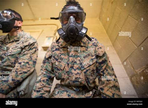 Marine Corps Cbrn