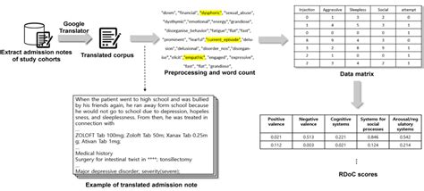 Overall Workflow Of Extracting Research Domain Criteria Scores Using A