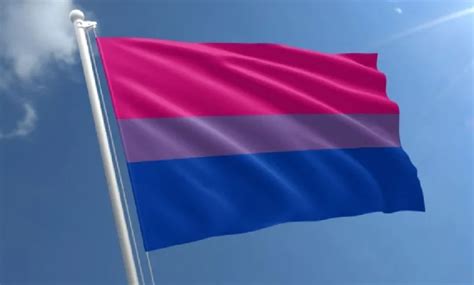 Bisexual Pride Flag And Bisexual Flag Meaning