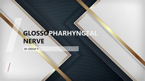 Glossopharyngeal Nerve Anatomy Function And Clinical Significance Ix Cranial Nerve Pathways