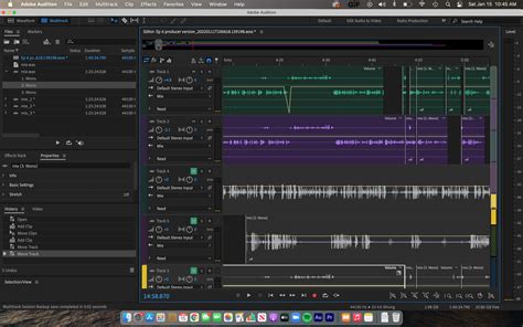 Multitrack Editor Problem Possibly Stereo V Mono Adobe Community