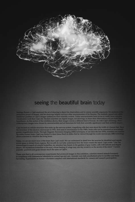 abstracting learning in neural networks layer wise generalization in