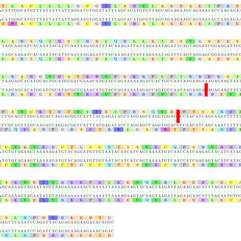 Alignment Example A Path Corresponding To A Putative Dna Sequence