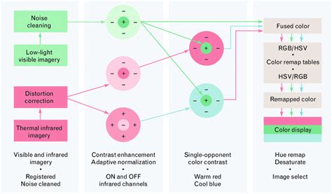 neurocomputational architecture for the fusion of low light visible and