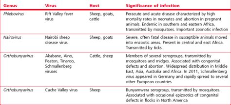 The Streptococci And Related Cocci Veterian Key