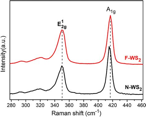 Raman Spectra Of The F Ws2 And N Ws2 Samples Download Scientific Diagram