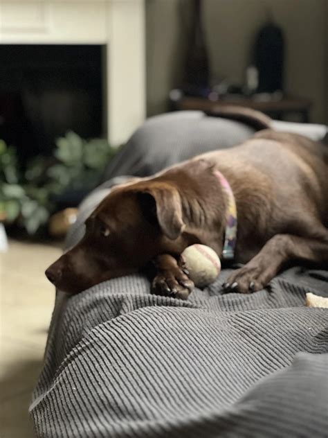 Discover More Like Cute Baseball Daydreams And Related Content Scrolller Discover More Like Cute Baseball Daydreams And Related Content Scrolller