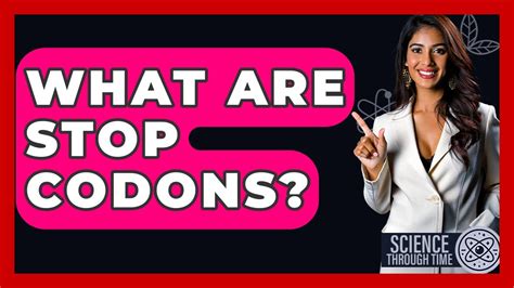 The 3 Stop Codons And Why They Are Crucial For Your Health Transtutor Blog