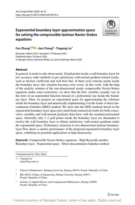exponential boundary layer approximation space for solving the