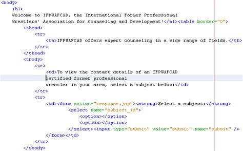 Java Web Application And Database