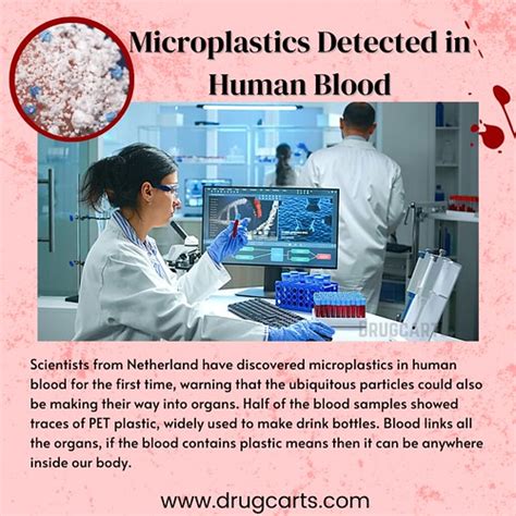 Microplastics Detected In Human Blood Microplastics Detect Flickr