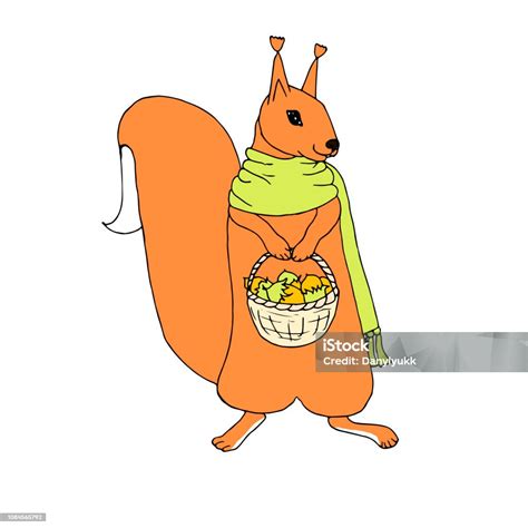 귀여운 오렌지 다람쥐 녹색 스카프에 바구니 호두와 함께 다채로운 손으로 그린 만화 스케치를 아이 들과 성인 색칠 공부 어린이 색칠 페이지 사진 벡터 일러스트 레이 션