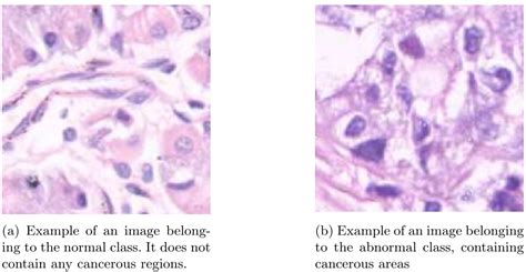 [논문 리뷰] A Comparative Analysis Of Image Descriptors For
