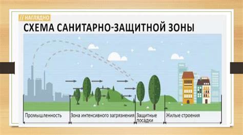 Функциональное зонирование территории Лекция 4 презентация онлайн