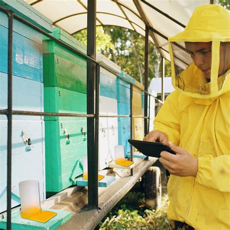 Нов кошер Пчеларски диспенсер за вода Входна хранилка за пчелен кошер Пчелно поене Пчеларско