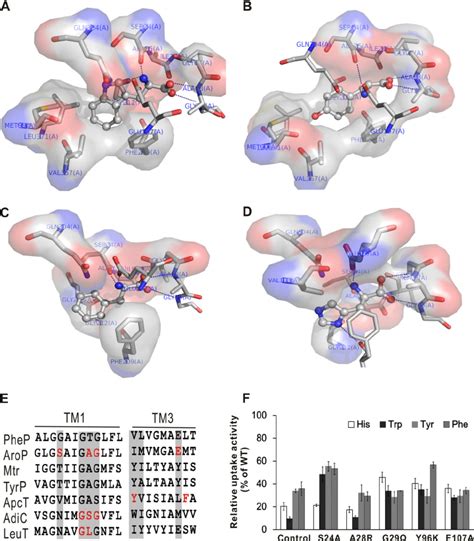 Binding Modes Between Arop And Histidine And Aromatic Amino Acids A Download Scientific