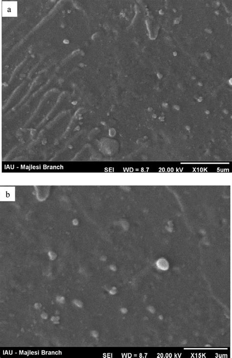 Scanning Electron Micrographs Of A Cryofractured Surface Of The